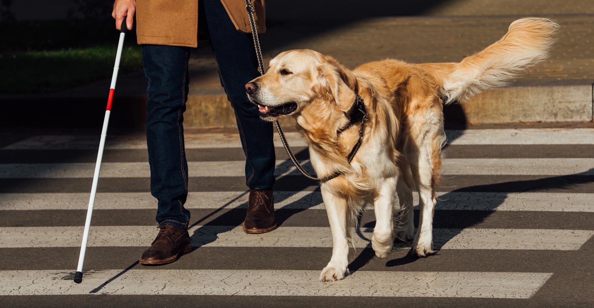 Accessibility - Disability Law Center, Utah