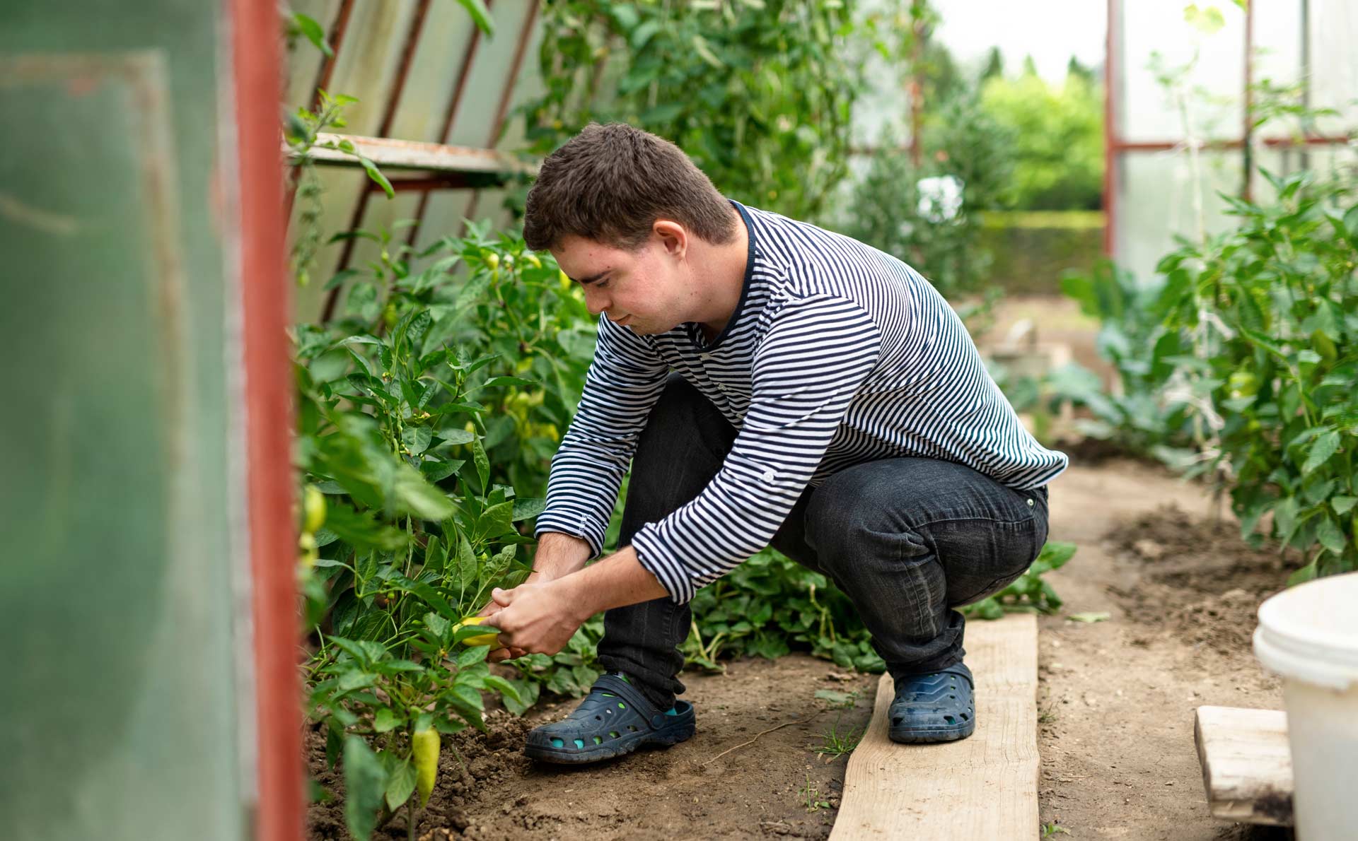 Client Assistance Program - Disability Law Center, Utah